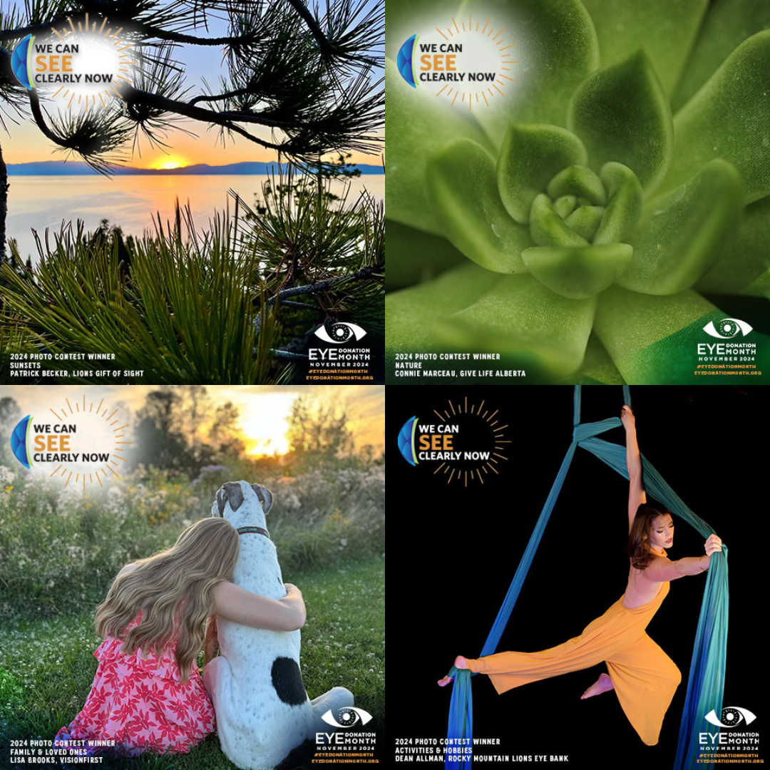 Eye Donation Month 2024: "We Can See Clearly Now" Photo Contest Winners ...